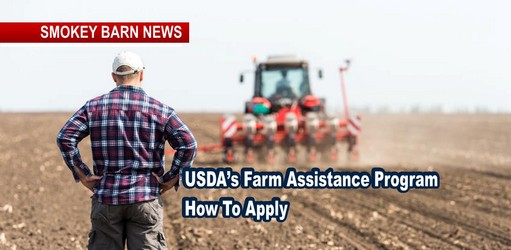 USDA's Farm Assistance Program, How To Apply | Smokey Barn News
