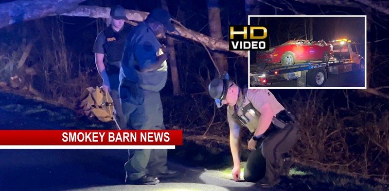 Driver Killed by Falling Tree on Kinneys Rd in Springfield TN - Smokey ...