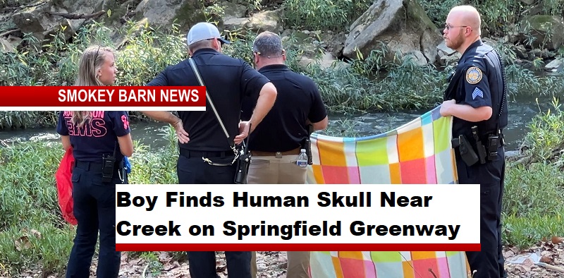 Boy Finds Human Skull Near Creek on Springfield Greenway - Smokey Barn News